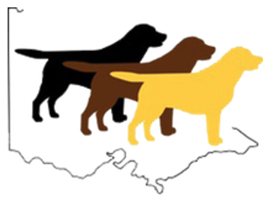 Labrador Club of Vic Open Scent trial - Top Dog Events