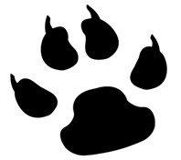 Agility & Jumping Trial - Top Dog Events